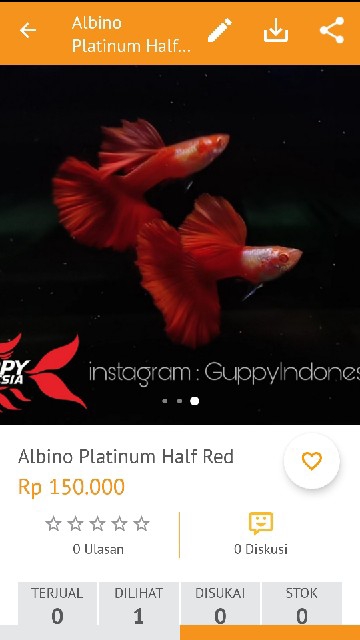 Guppy Indonesia - Jual Guppy Indonesia