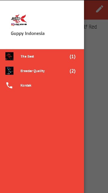 Guppy Indonesia - Jual Guppy Indonesia