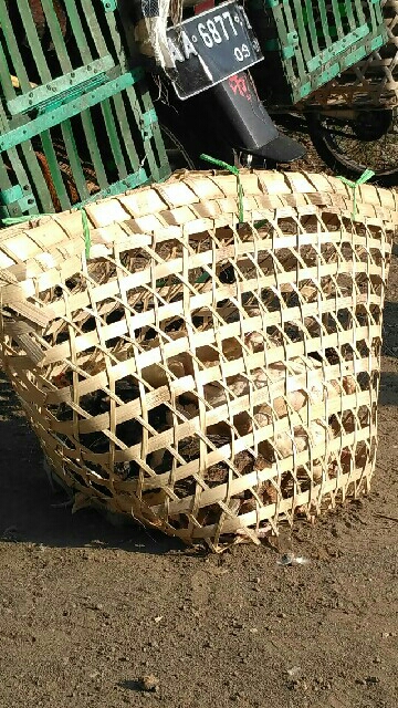 The Power Of Makelar - Sebuah aplikasi yang digunakan untuk mendekatkan ...