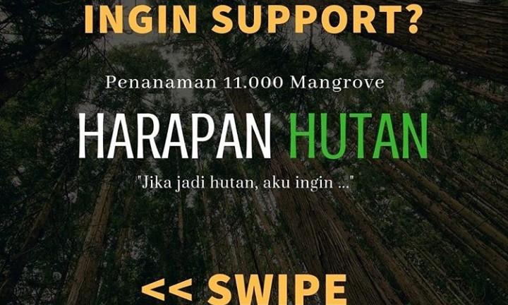 Lindungi Hutan - Sebuah Gerakan StarUp untuk membantu melindungi hutan ...