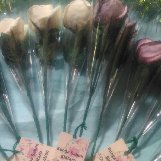 Bunga Sabun Bintaro - Galeri