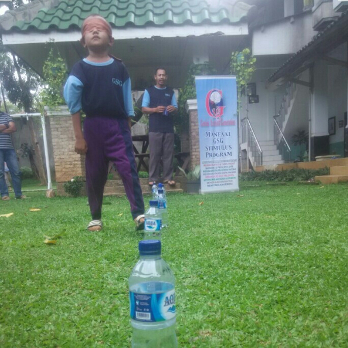 Gsg Midbrain Program Galeri