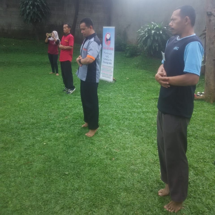 Gsg Midbrain Program Galeri