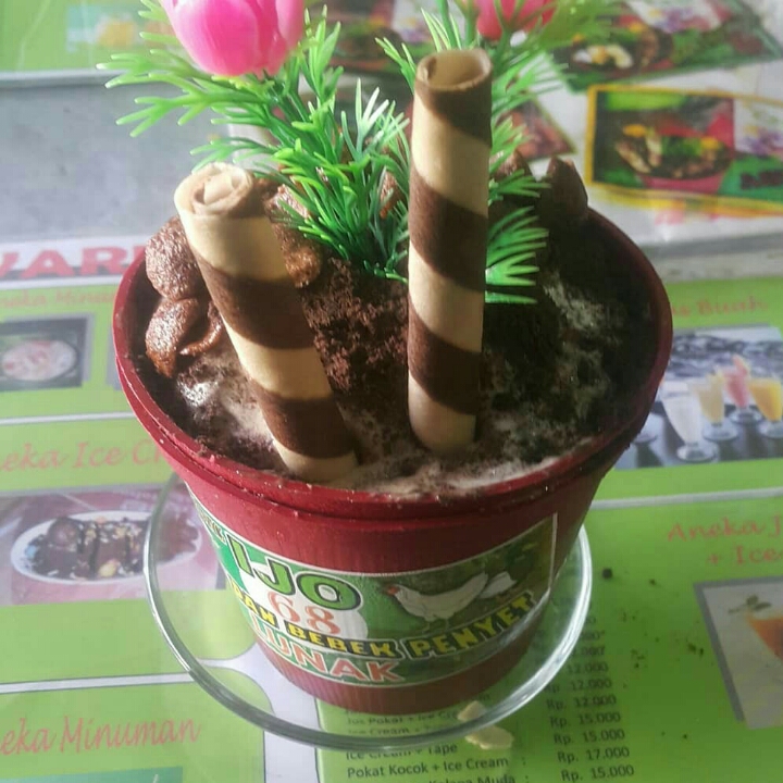 Ice Cream Pot Astor | OGET