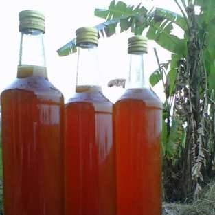 Madu Botol | Ayu Sahi