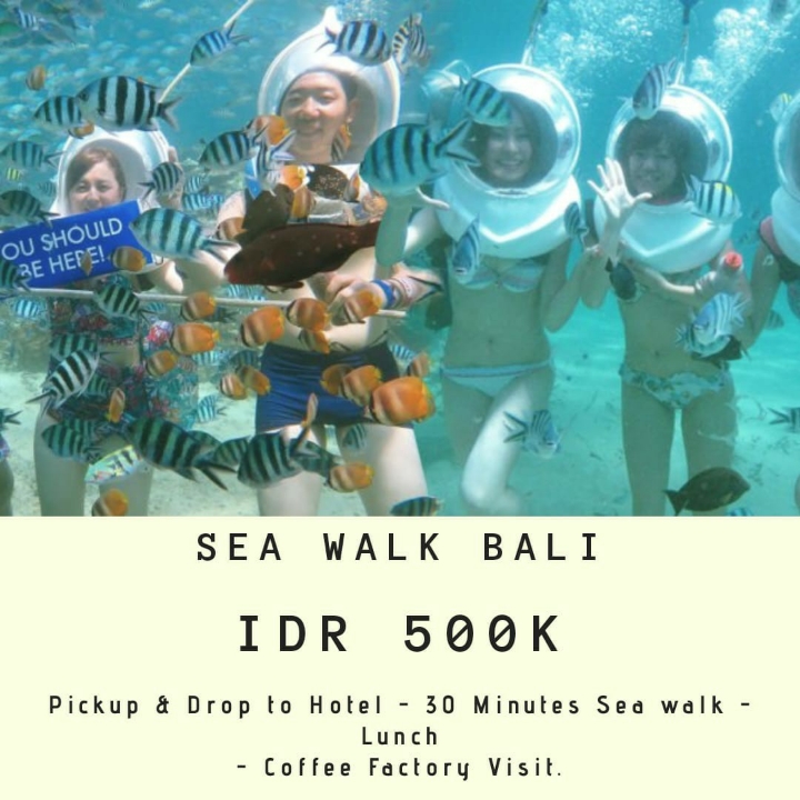 Bali Transport - Bali Activity