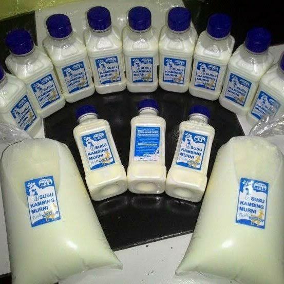 Susu Segar | DairyPro