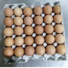 Telur Ukuran Kecil 1 Piring Per 53 gram | Kurir Sangatta