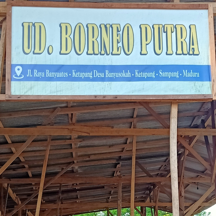 UD BORNEO PUTRA | OJOL SAKERA