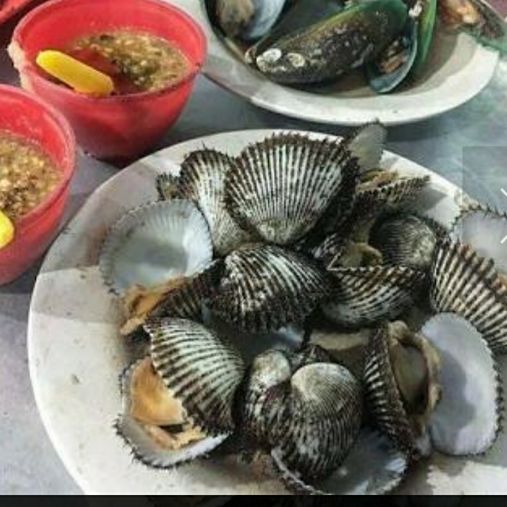 kerang rebus dan sate kerang pakai lontong | OGET kerang rebus dan sate kerang pakai lontong | OGET