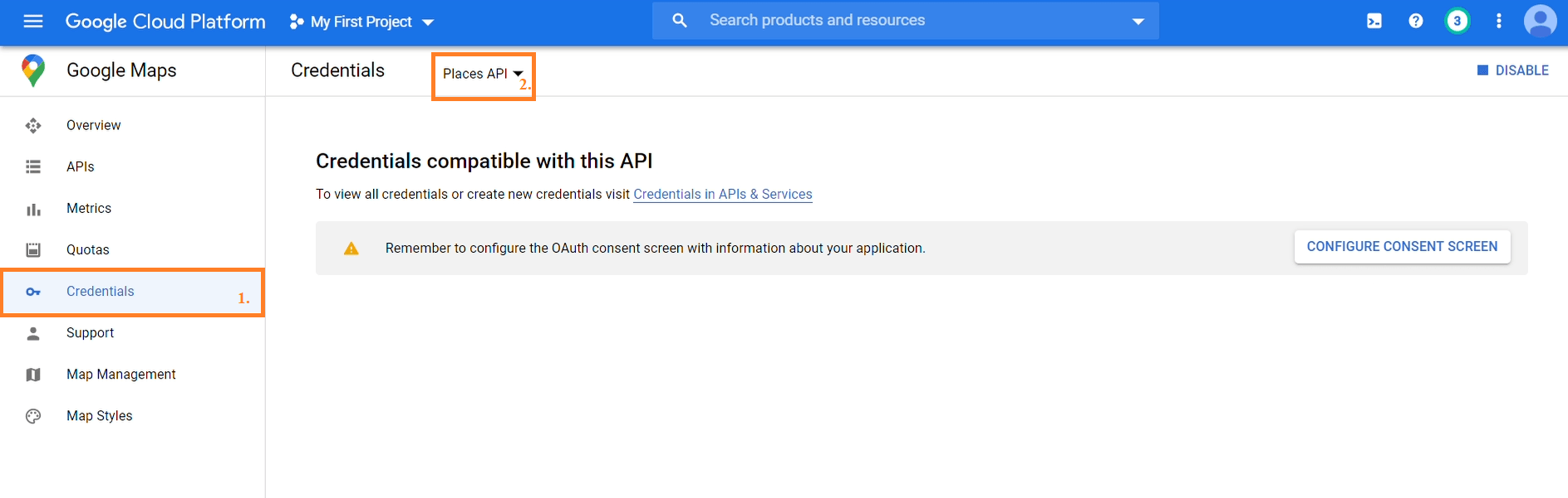 google maps API credentials